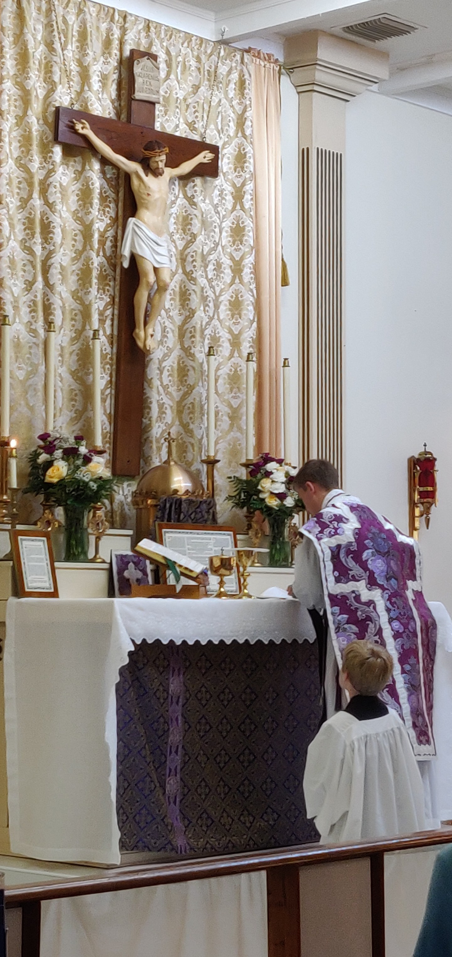 Catholic Kermit | seeking A collar & asking W.W.K.D.?