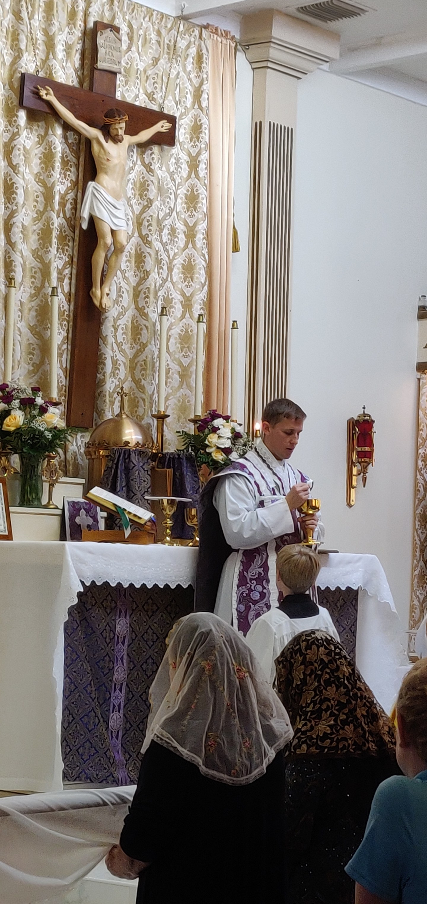 Catholic Kermit | seeking A collar & asking W.W.K.D.?